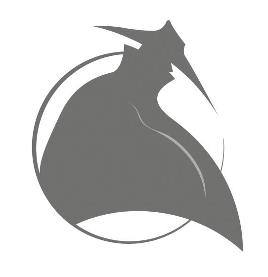 Cloak and Dagger Room Escape Game in Izmir